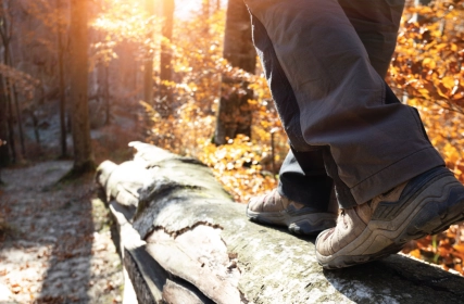 Home - The Aberdeen Marina Club